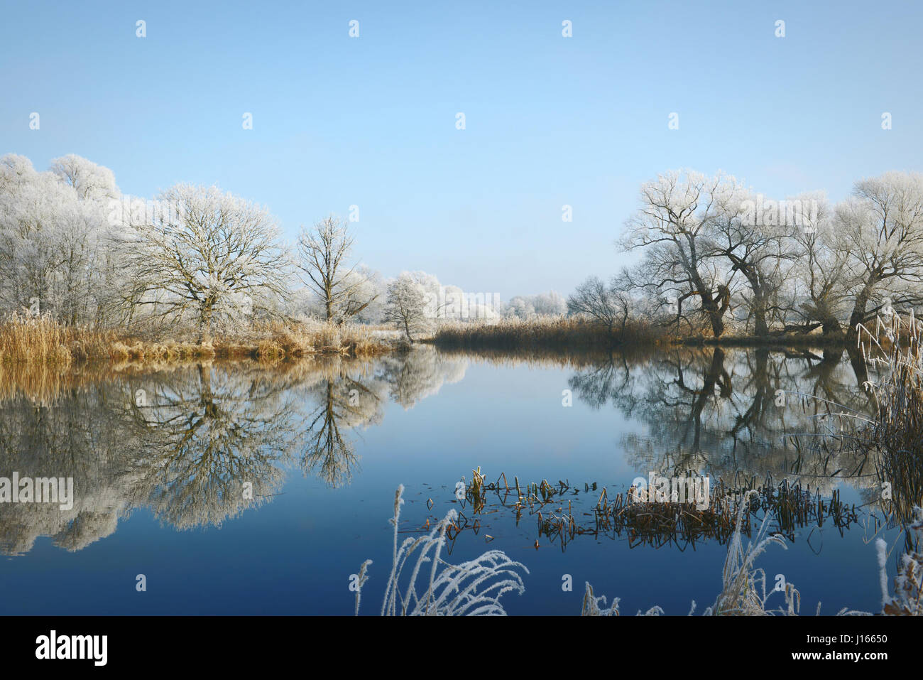 rime frost landscape at Havel river (Brandenburg - Germany). Along ...
