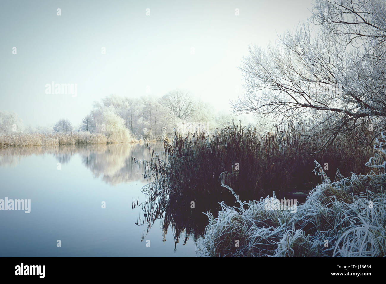 rime frost landscape at Havel river (Brandenburg - Germany). Along ...