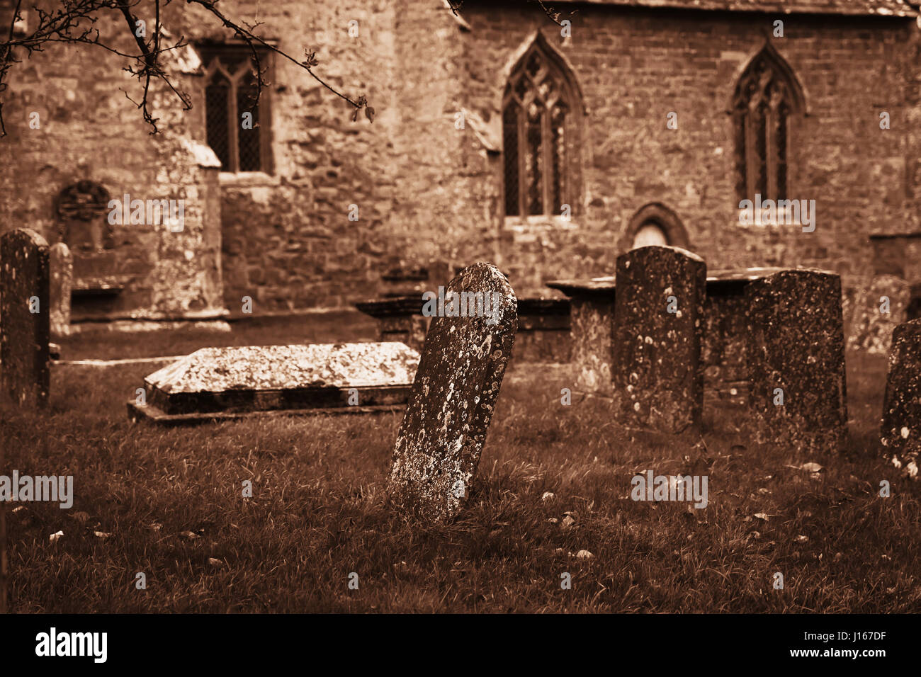 St john baptist skull hi-res stock photography and images - Alamy