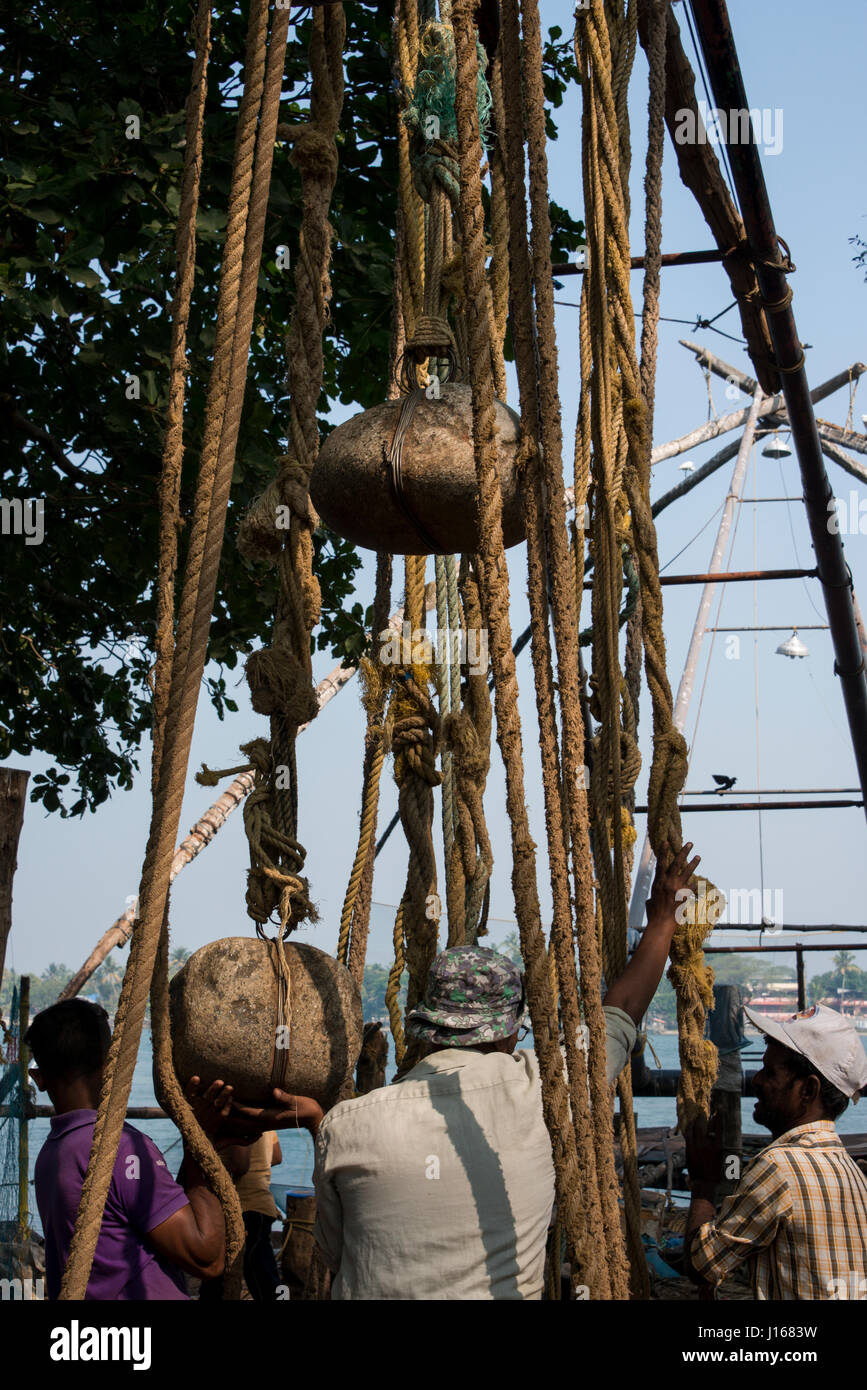 India, Kerala, port city of Cochin. Traditional Chinese fishing nets ...