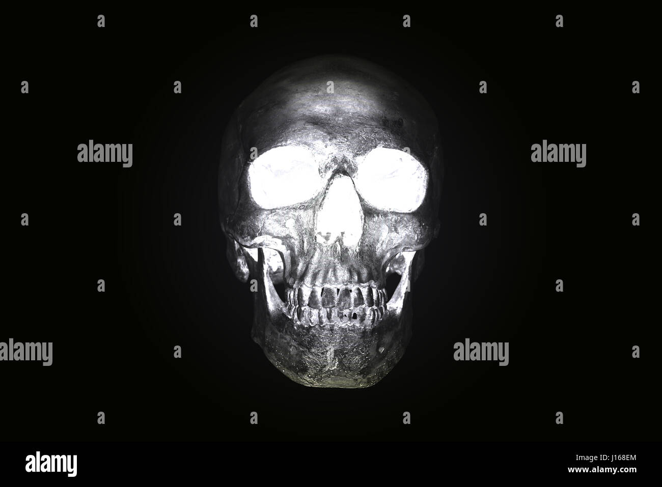 Still life skull dark tone Stock Photo - Alamy