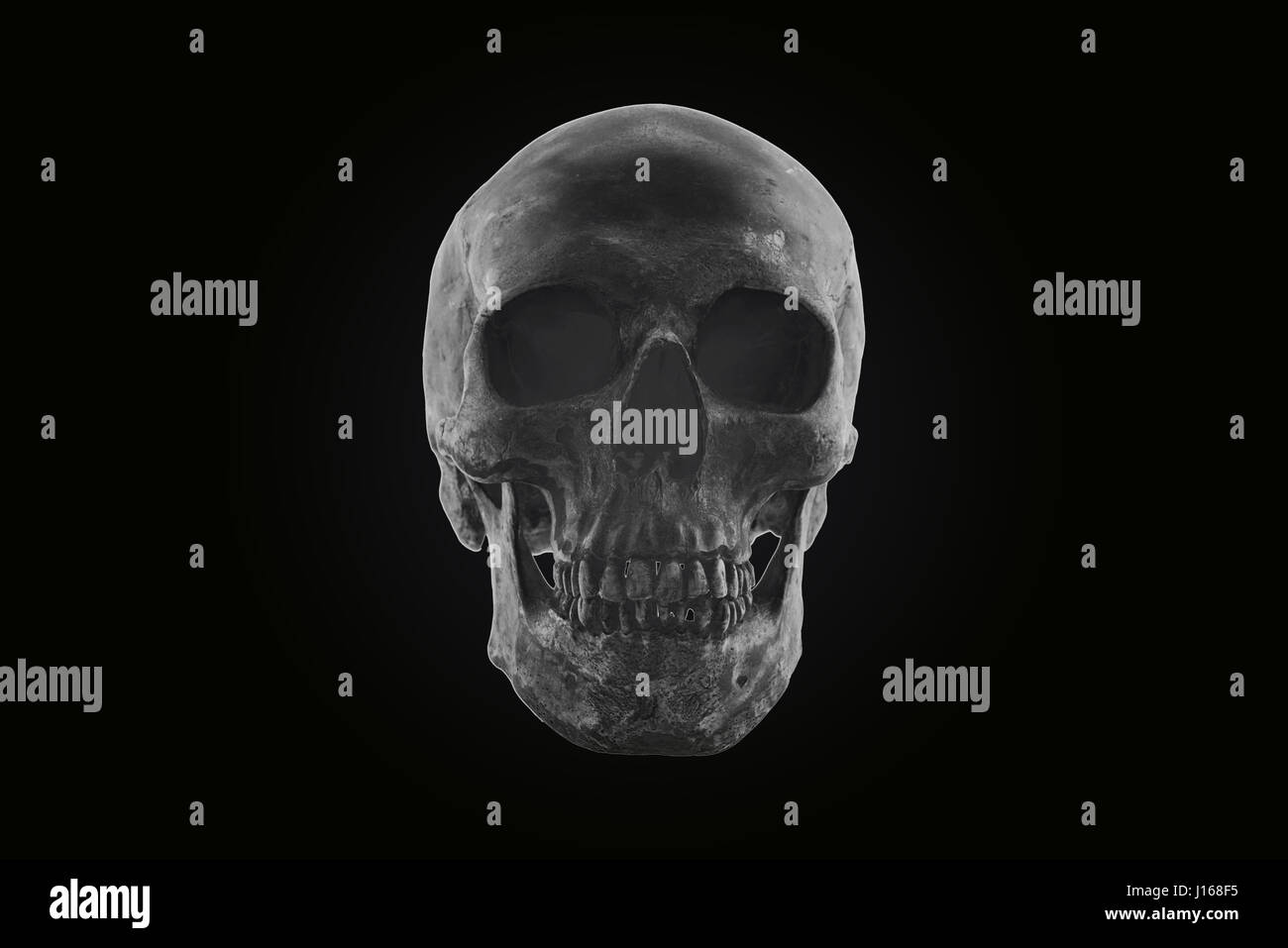 Still life skull dark tone Stock Photo - Alamy