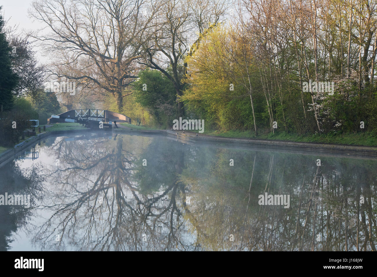 Canal lock and trees at Lapworth on a misty spring morning. Lapworth ...