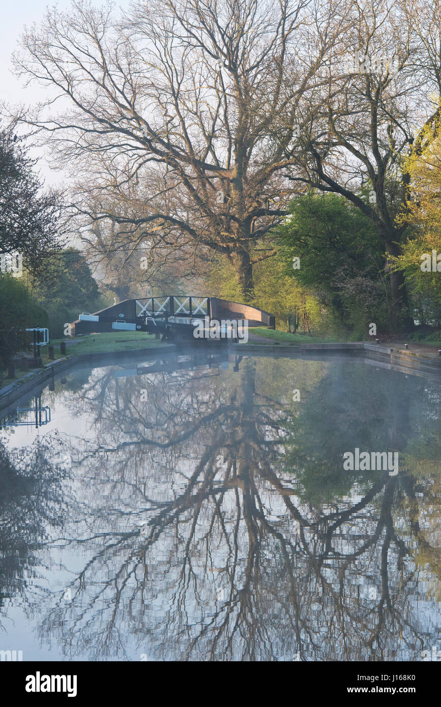 Canal lock and trees at Lapworth on a misty spring morning. Lapworth ...