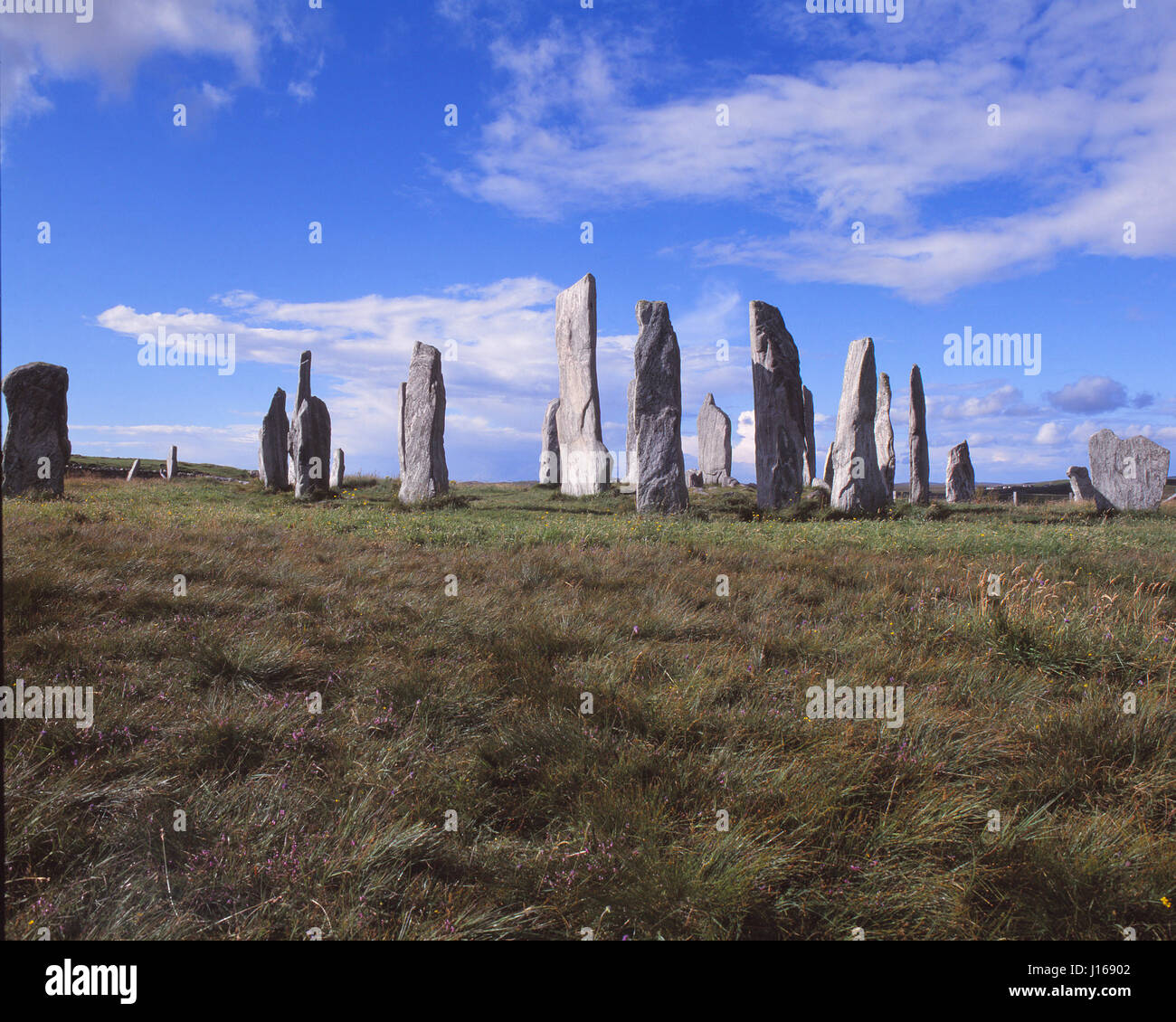 Cruciform pattern hi-res stock photography and images - Alamy