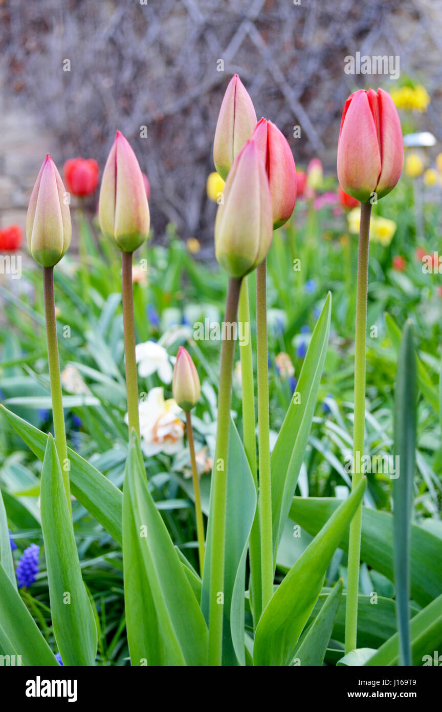 J169t9 hi-res stock photography and images - Alamy