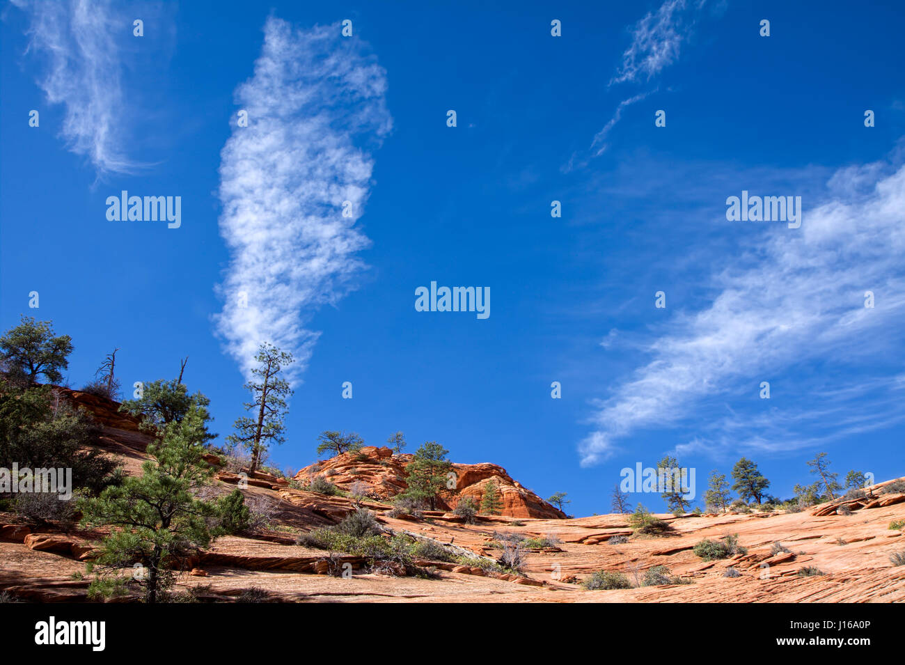 Vertical Cloudscape in Zion Stock Photo - Alamy