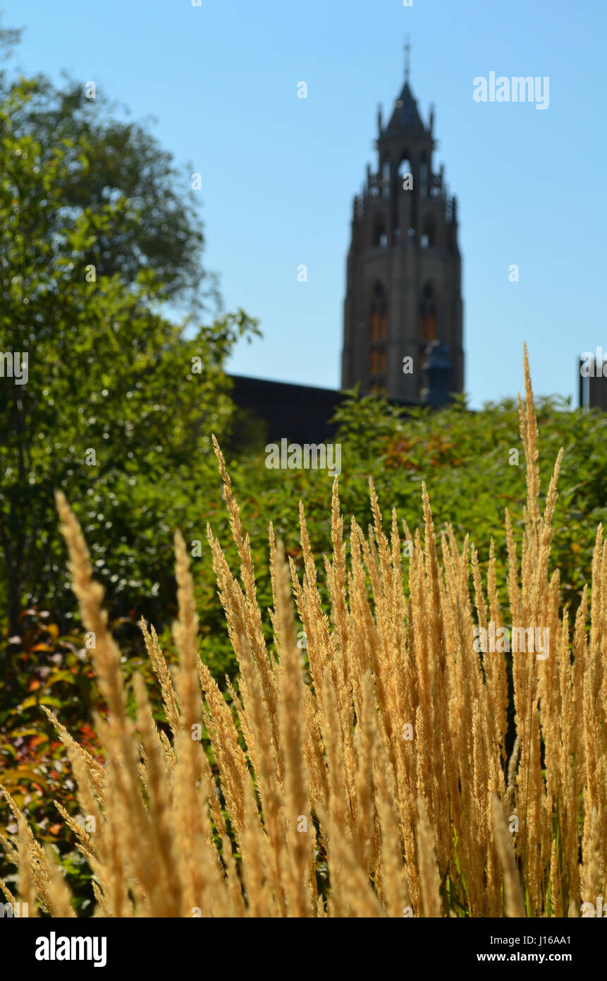 Memorial Art Gallery, Rochester NY USA Stock Photo - Alamy
