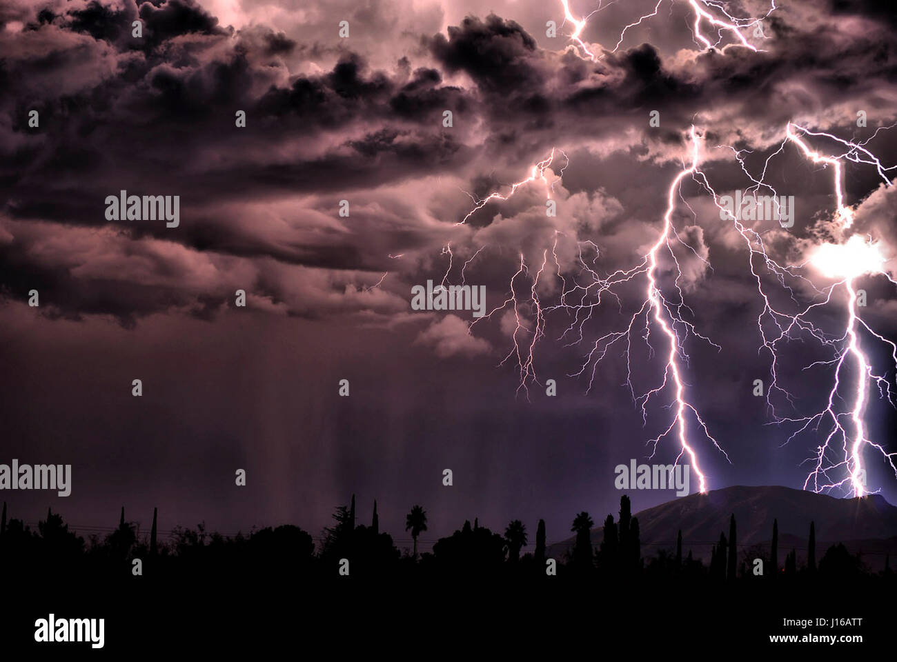 ARIZONA, USA: Lightning strikes over desert skyline. A TECHNICIAN’S ...