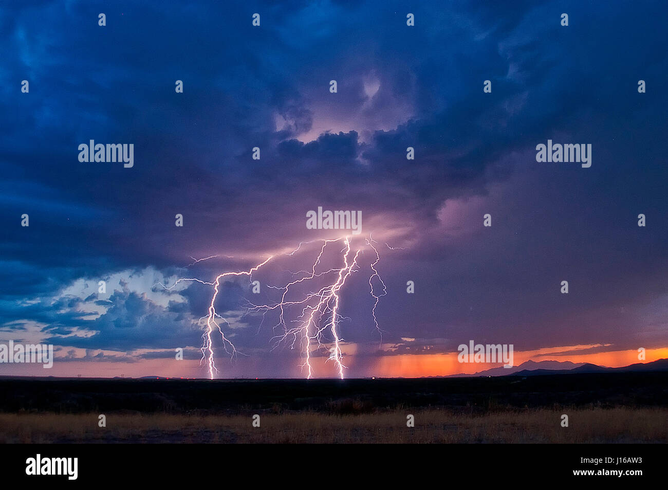 ARIZONA, USA: Lightning strikes over desert skyline. A TECHNICIAN’S ...