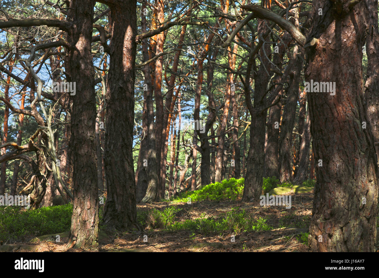 Weitwanderweg hi-res stock photography and images - Alamy