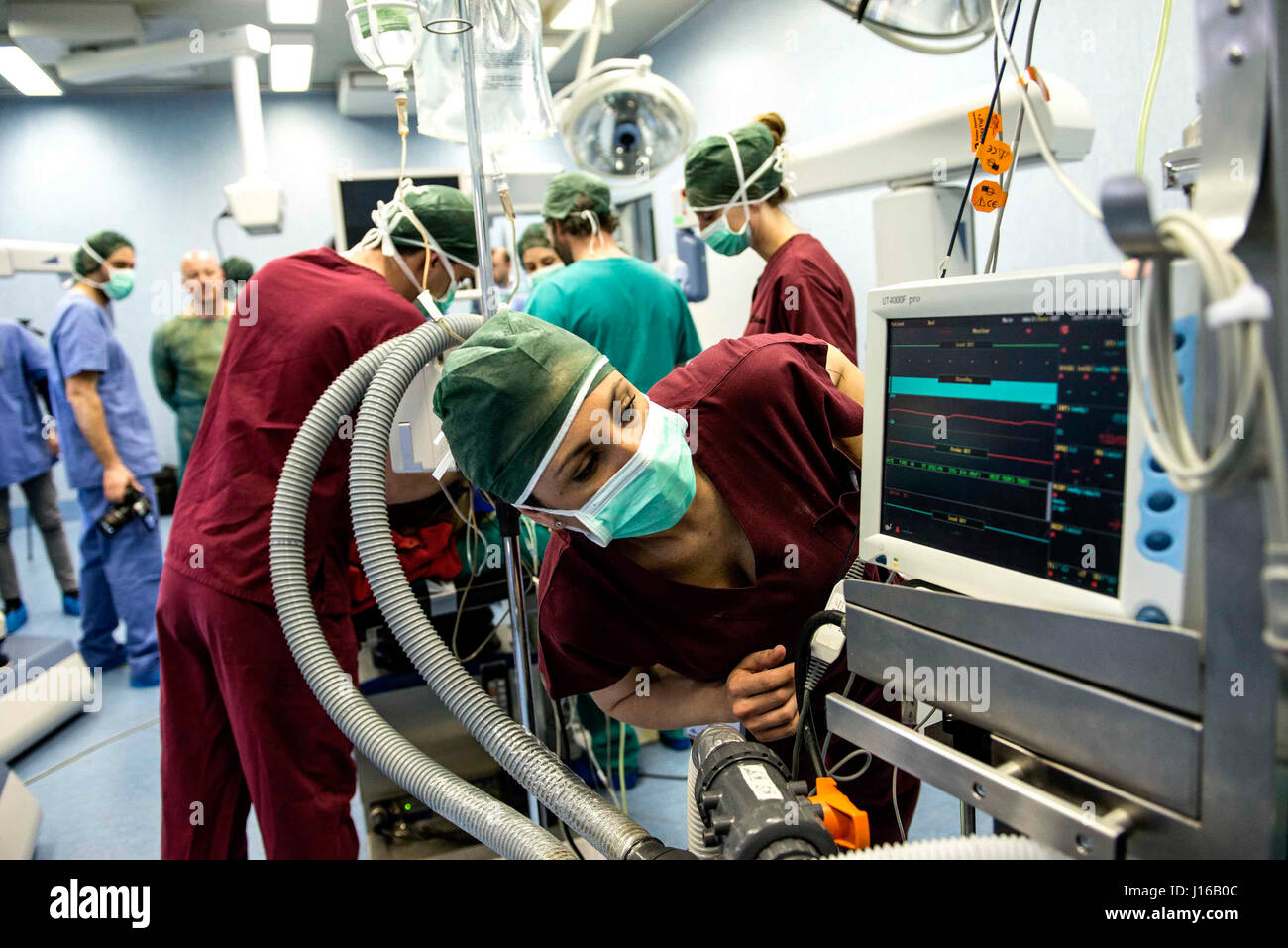 A ROBOT has become the world’s first at performing surgery on a LION ...