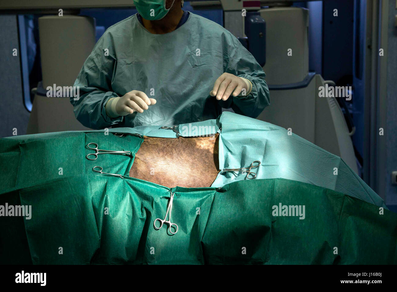 A ROBOT has become the world’s first at performing surgery on a LION ...