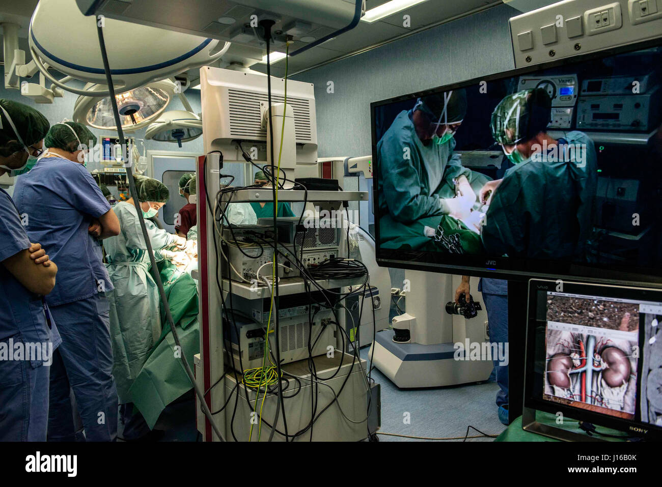 A ROBOT has become the world’s first at performing surgery on a LION ...