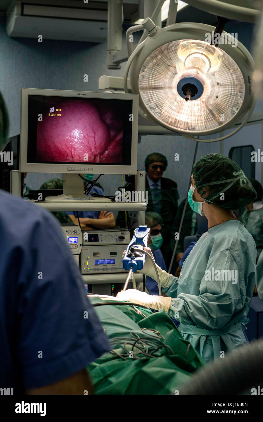 A ROBOT has become the world’s first at performing surgery on a LION ...