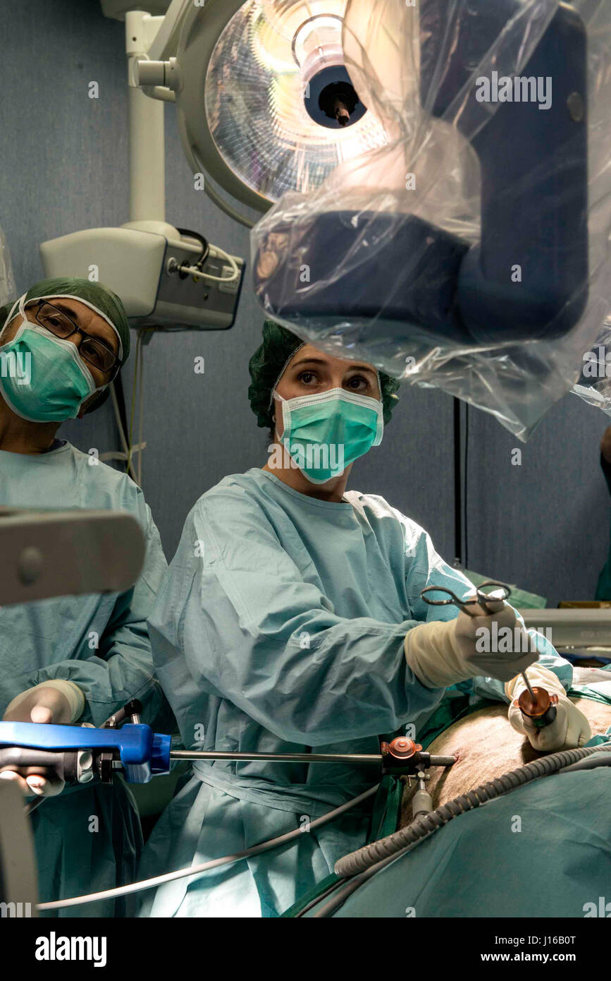 A ROBOT has become the world’s first at performing surgery on a LION ...