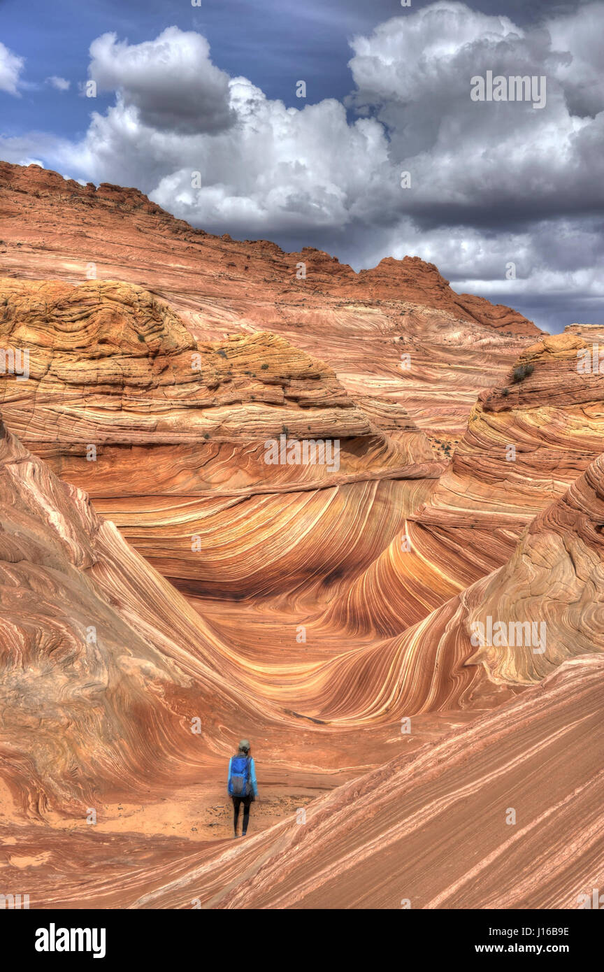 STEP-INSIDE a real life surrealist painting. Welcome to the bizarre ...