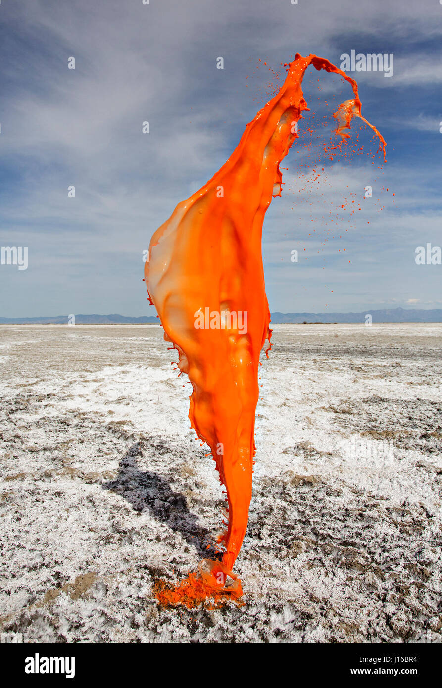 NEVADA, USA: Pictures capture paint splashes in mid-air. MULTI-COLOURED ...