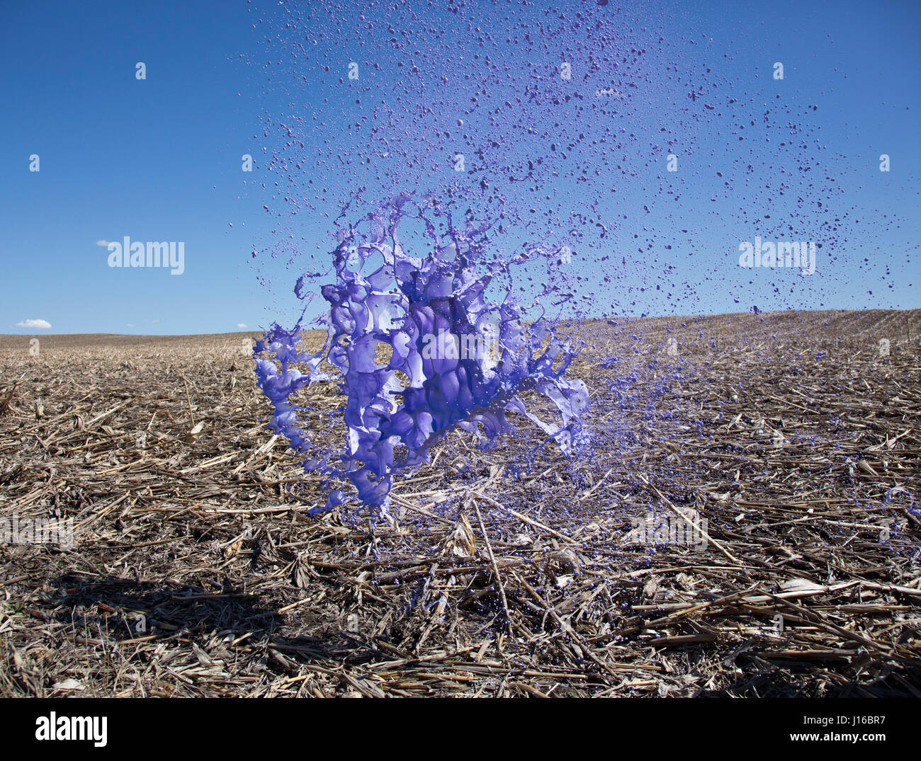 NEVADA, USA: Pictures capture paint splashes in mid-air. MULTI-COLOURED ...