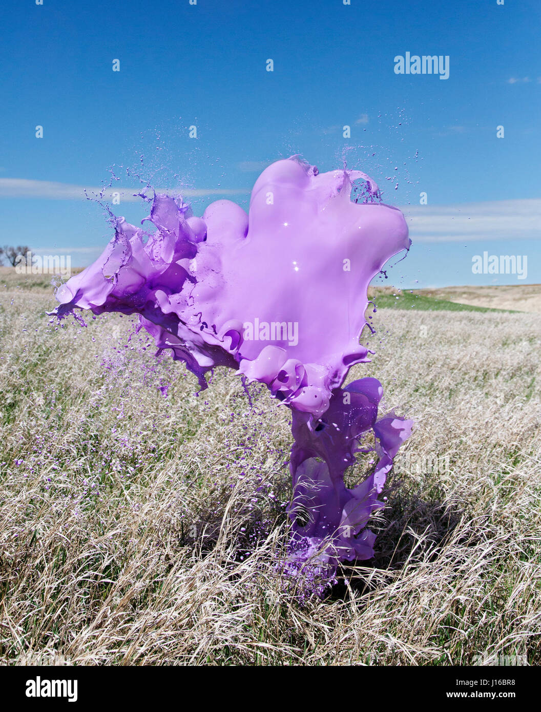 NEVADA, USA: Pictures capture paint splashes in mid-air. MULTI-COLOURED ...