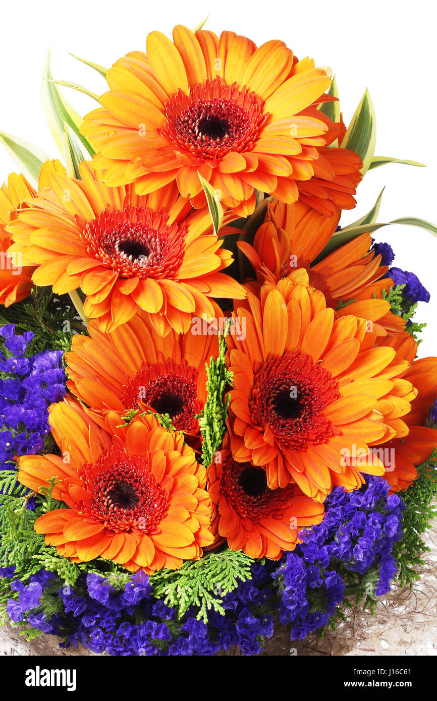 Orange Gerbera Daisy Bouquet