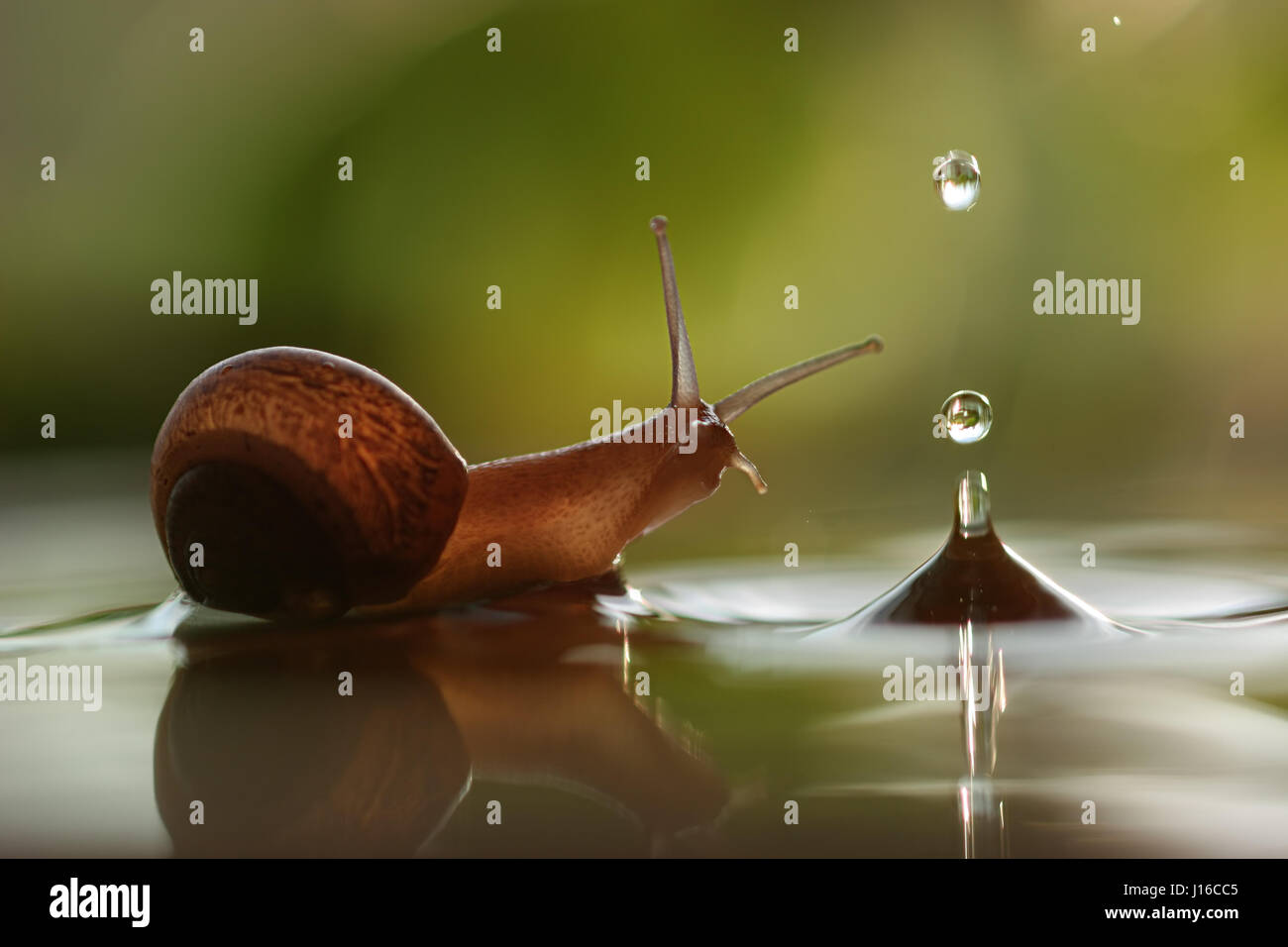 VORONEEZH, RUSSIA: EYE-POPPING pictures show the slow-motion world of ...