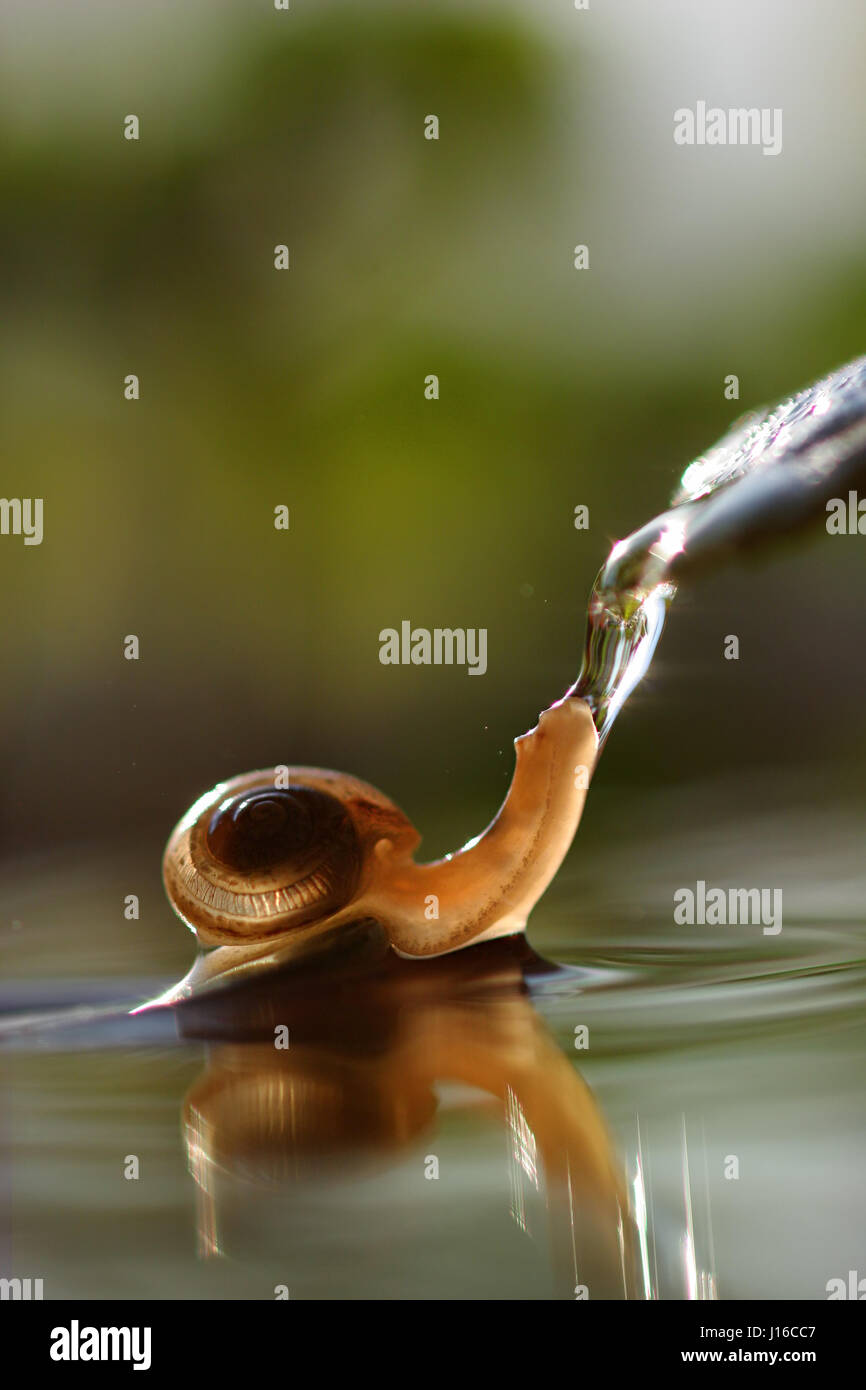 VORONEEZH, RUSSIA: EYE-POPPING pictures show the slow-motion world of ...