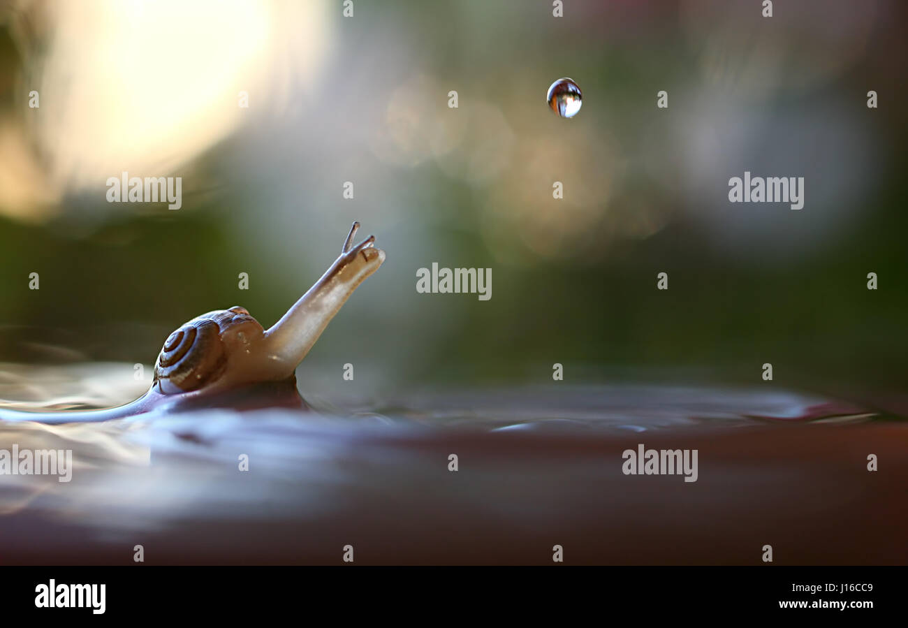 VORONEEZH, RUSSIA: EYE-POPPING pictures show the slow-motion world of ...