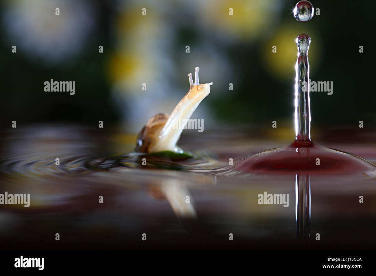 VORONEEZH, RUSSIA: EYE-POPPING pictures show the slow-motion world of ...