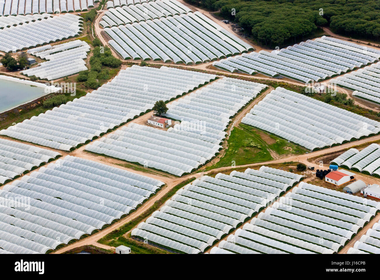ANDALUCIA, SPAIN: Aerial view, of polytunnels. A BRITISH aerial ...