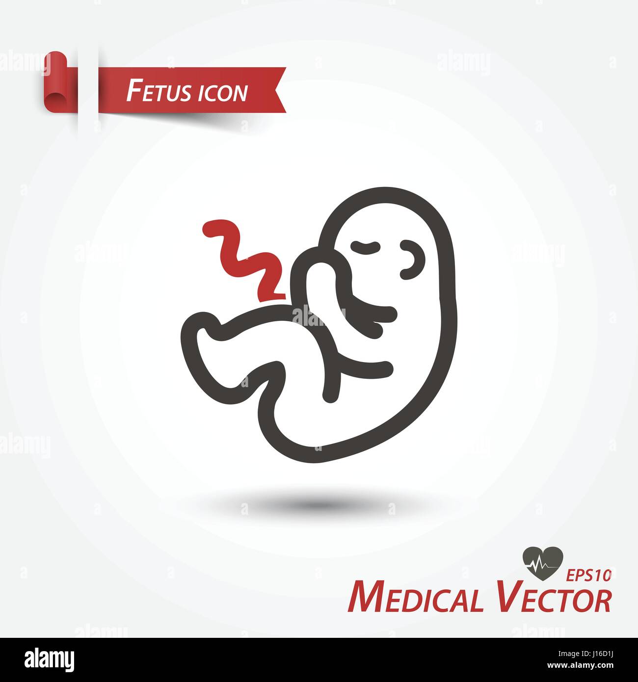 Fetus icon . Medical vector Stock Vector Image & Art - Alamy
