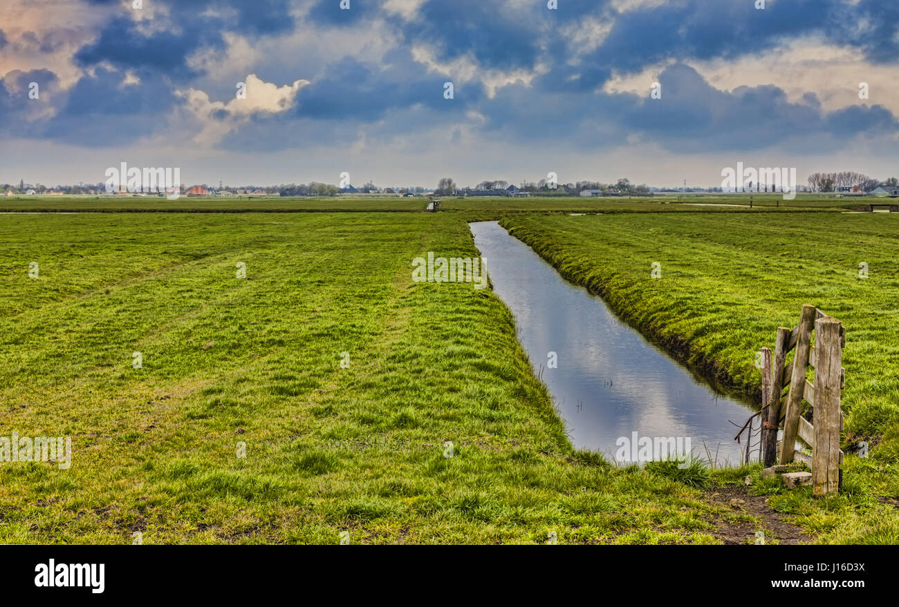 Rural Dutch landscape (polder) with a specific canal in a green field ...