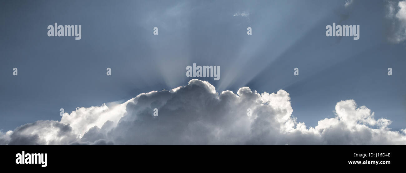 Obfuscate hi-res stock photography and images - Alamy