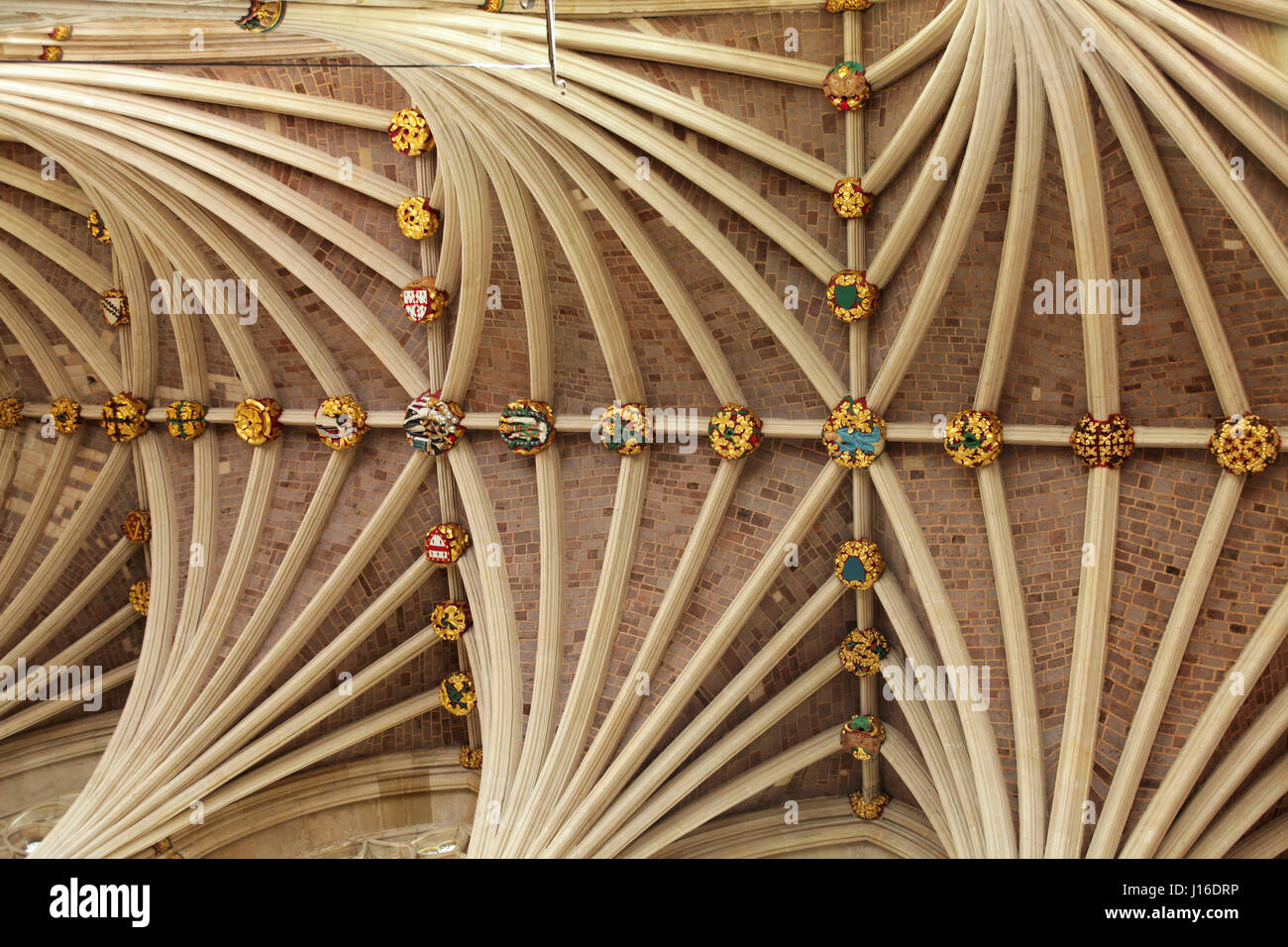 Beautiful ancient ceiling of Exeter cathedral . The vaulted celiing of ...