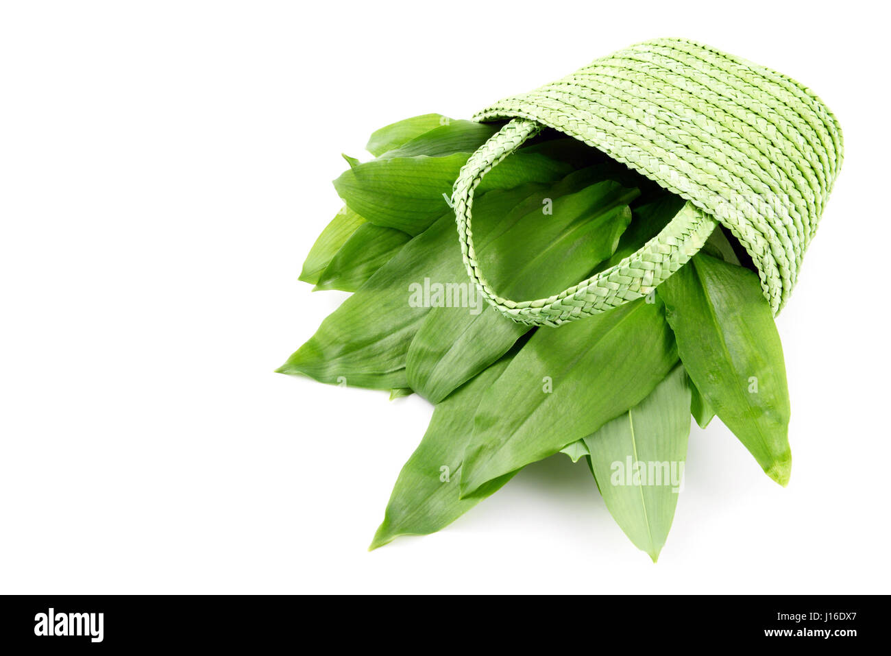 wild garlic (ramson) in springtime Stock Photo - Alamy