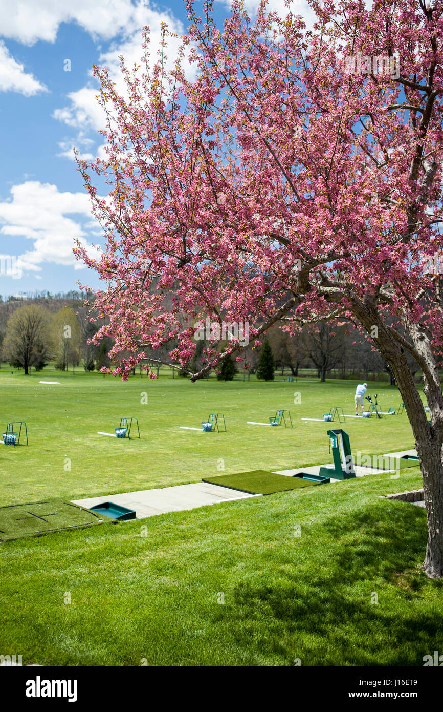 A View Of Greenbrier Resort In West Virginia, Usa Stock Photo - Alamy