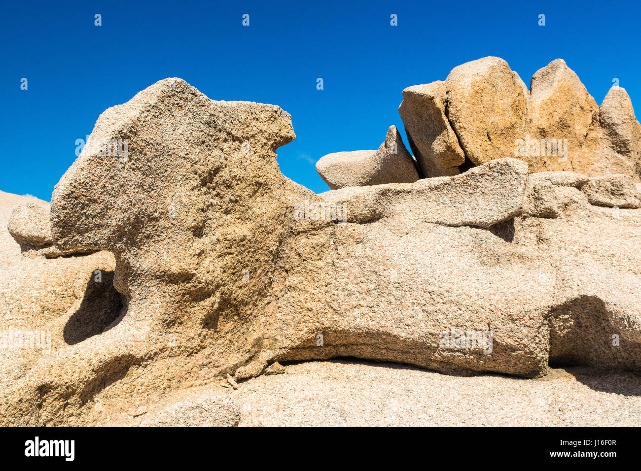 ‘Granite Lamb’ - Ornate Rock Formation: Baia Sardinia, Costa Smerelda ...