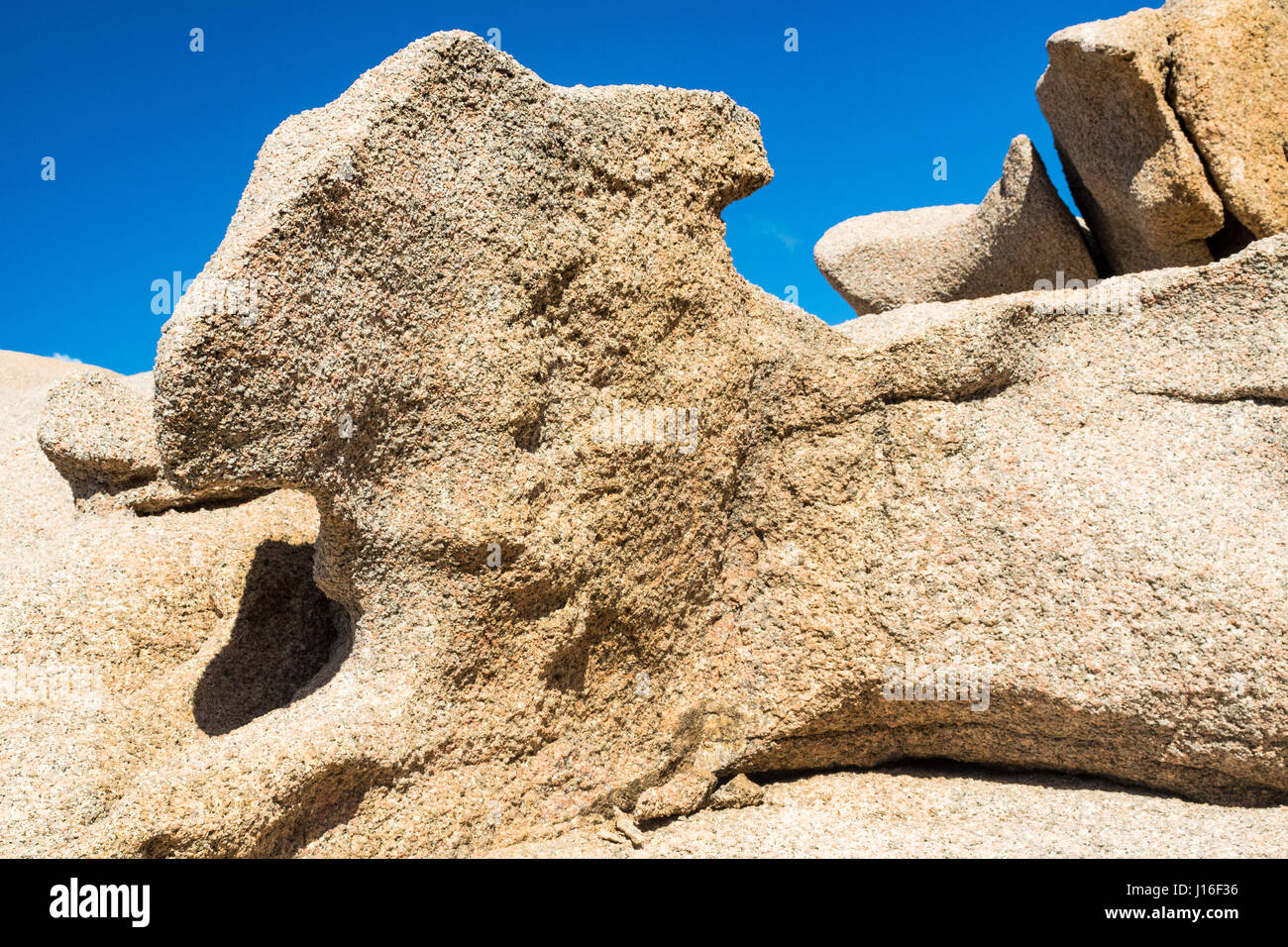 ‘Granite Lamb’ - Ornate Rock Formation in Close-up: Baia Sardinia ...
