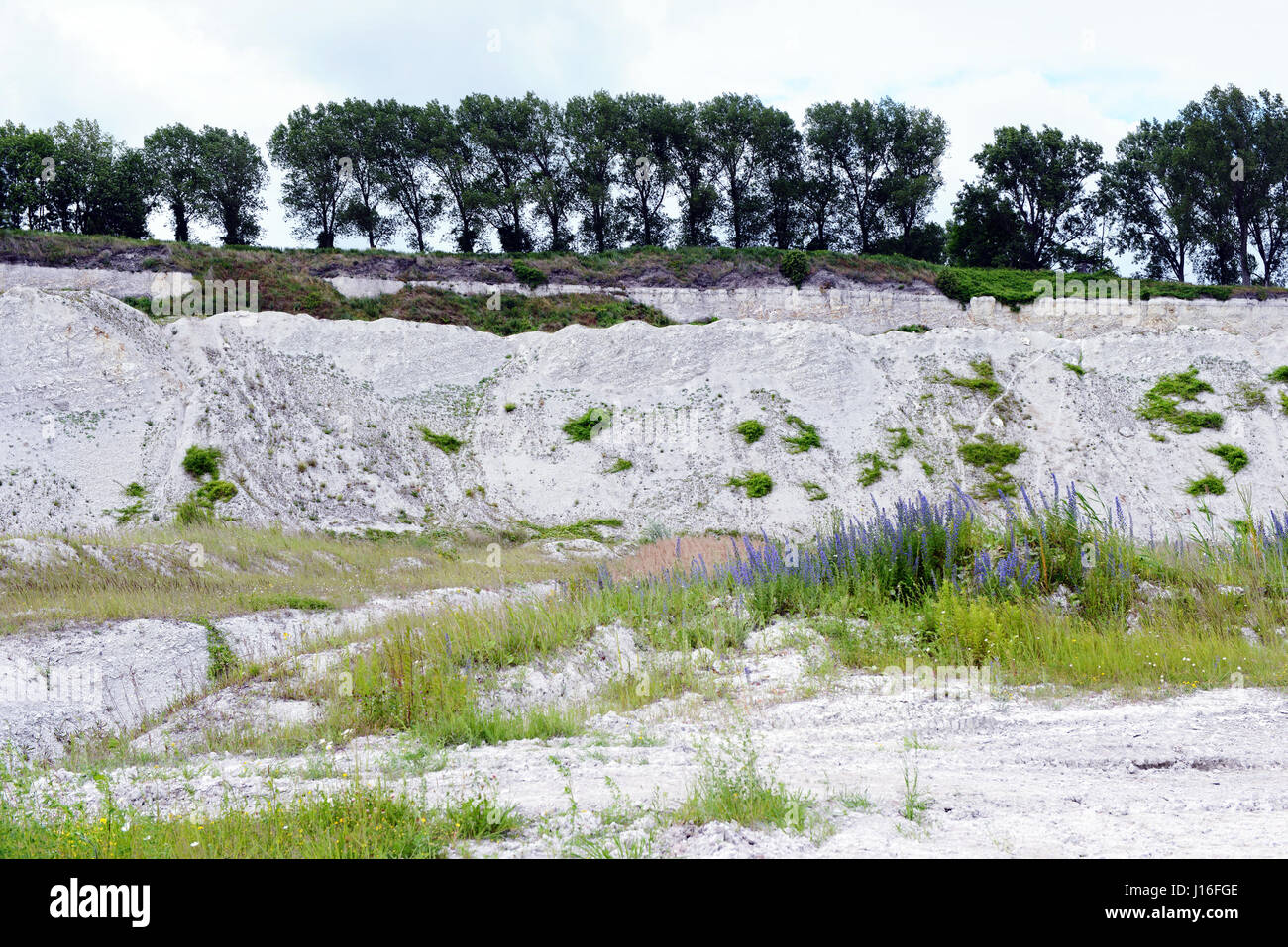 view into chalk rock quarry mine Stock Photo - Alamy