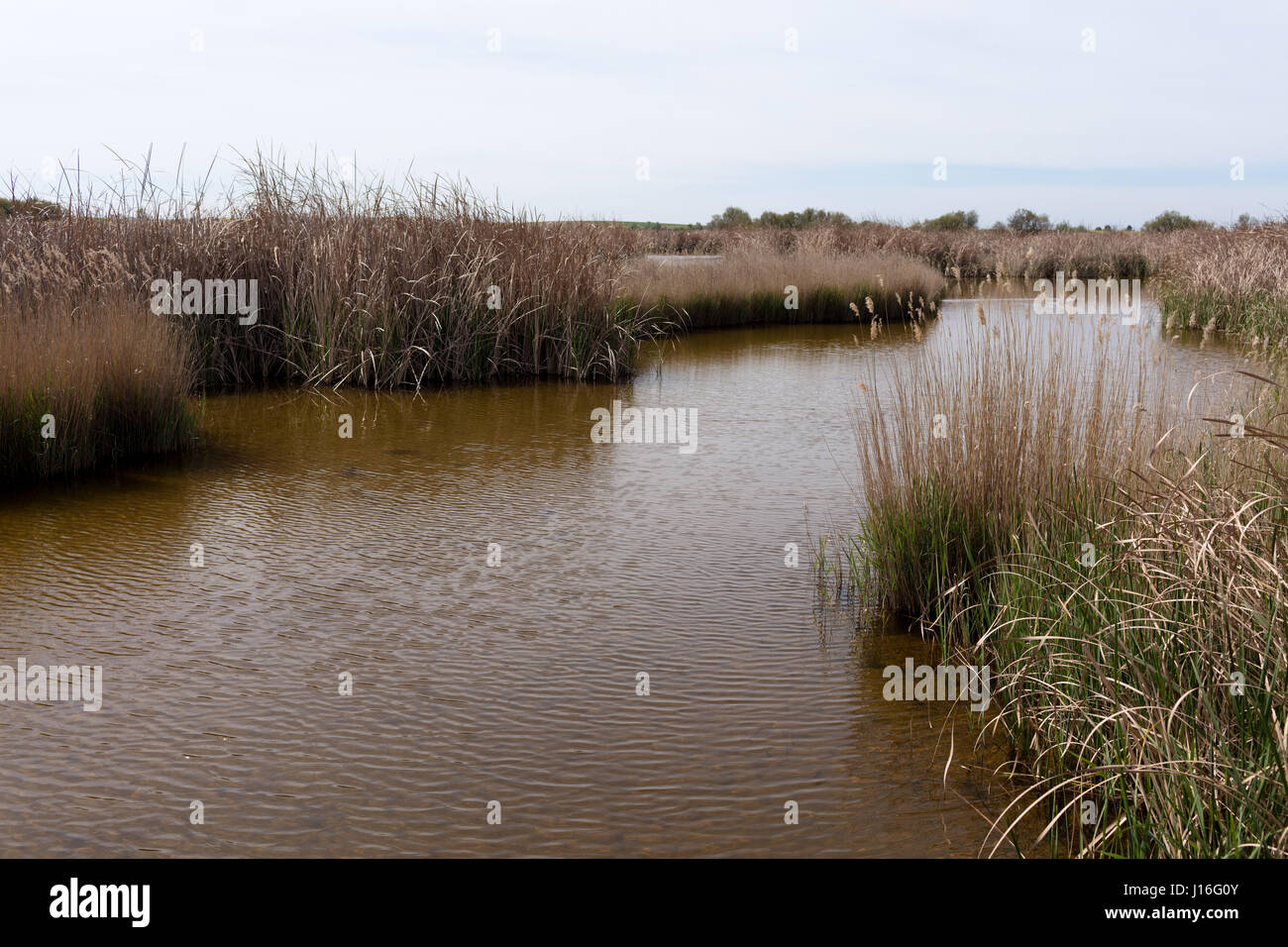 Old wooden swamp bridge hi-res stock photography and images - Alamy