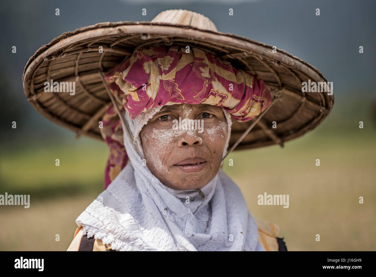 Portrait Of A Female Rice Field worker At The Harau Valley, Sumatra ...