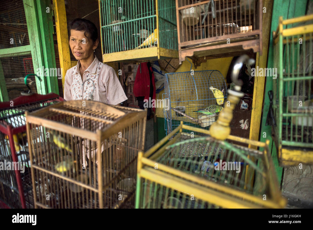 Caged bird hi-res stock photography and images - Alamy
