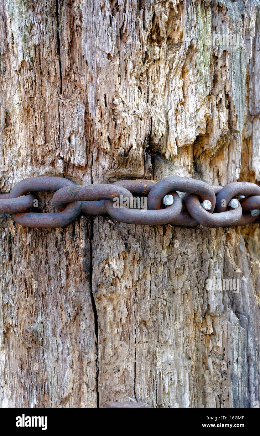 Backgrounds and textures: rusty metal chain over aged wooden pillar ...
