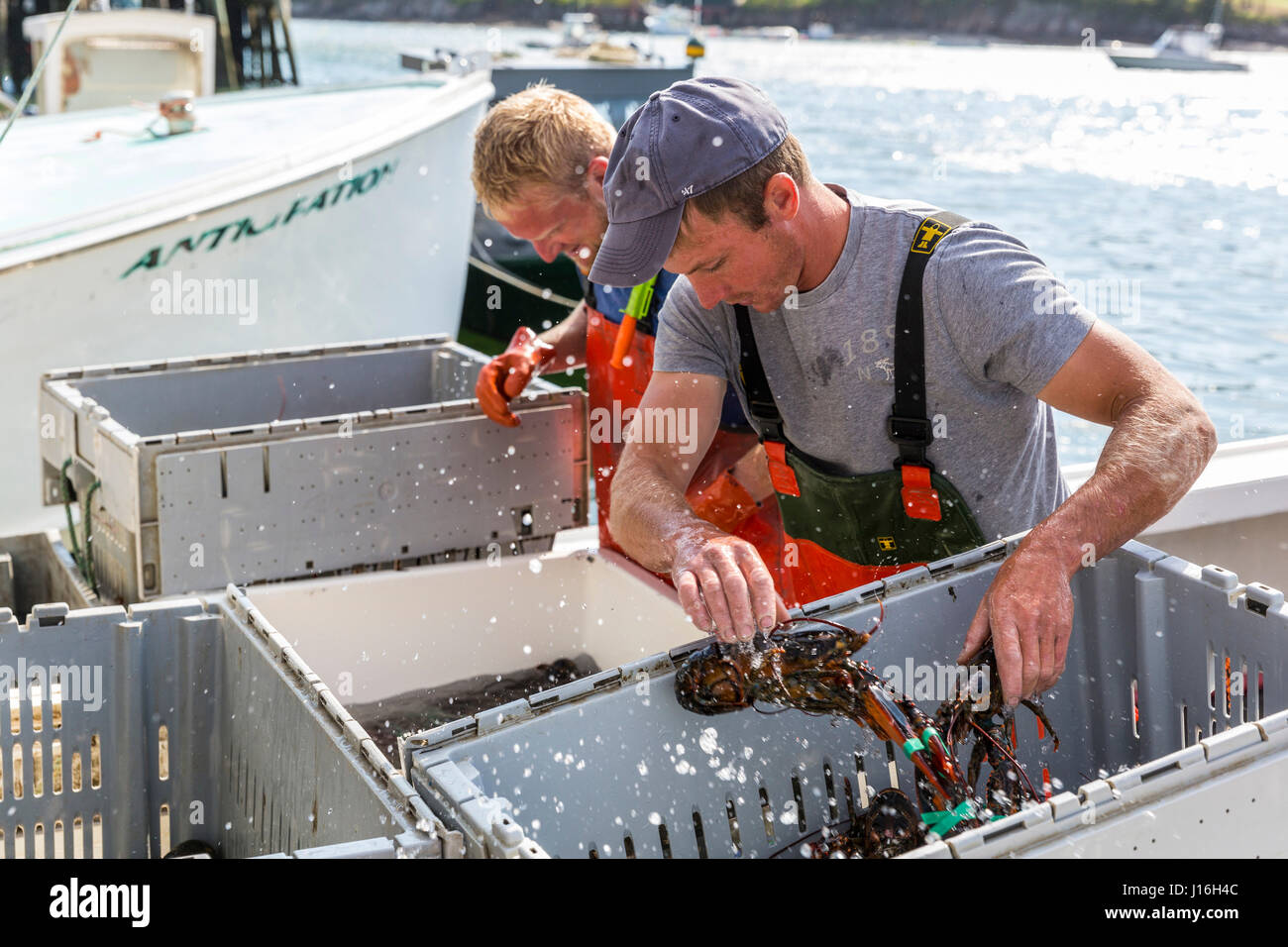 Lobster crate men hi-res stock photography and images - Alamy