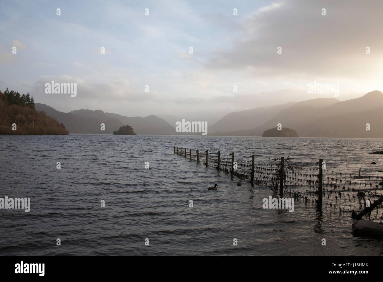 A view of Derwent Water toward Borrowdale and Castle Crag from Friar's ...