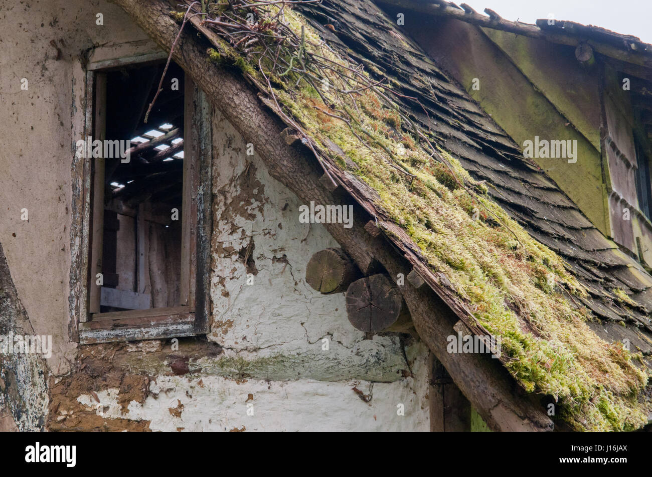 Run down building with broken roof and growing moss Stock Photo - Alamy