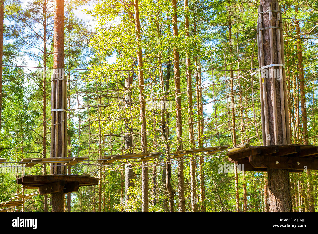 Hinged trail in extreme rope Park in summer forest. High-altitude ...