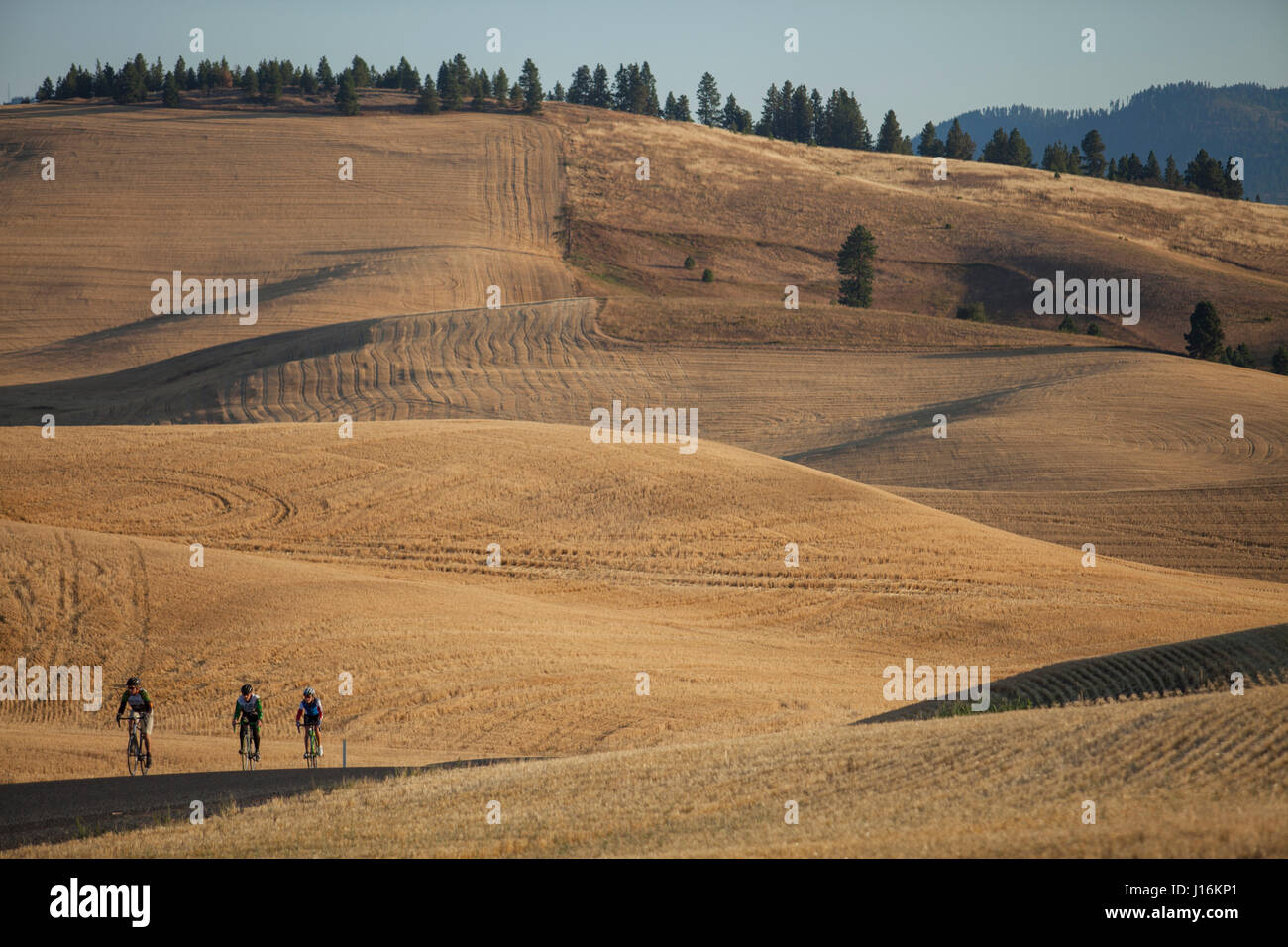 Moscow Idaho High Resolution Stock Photography and Images - Alamy
