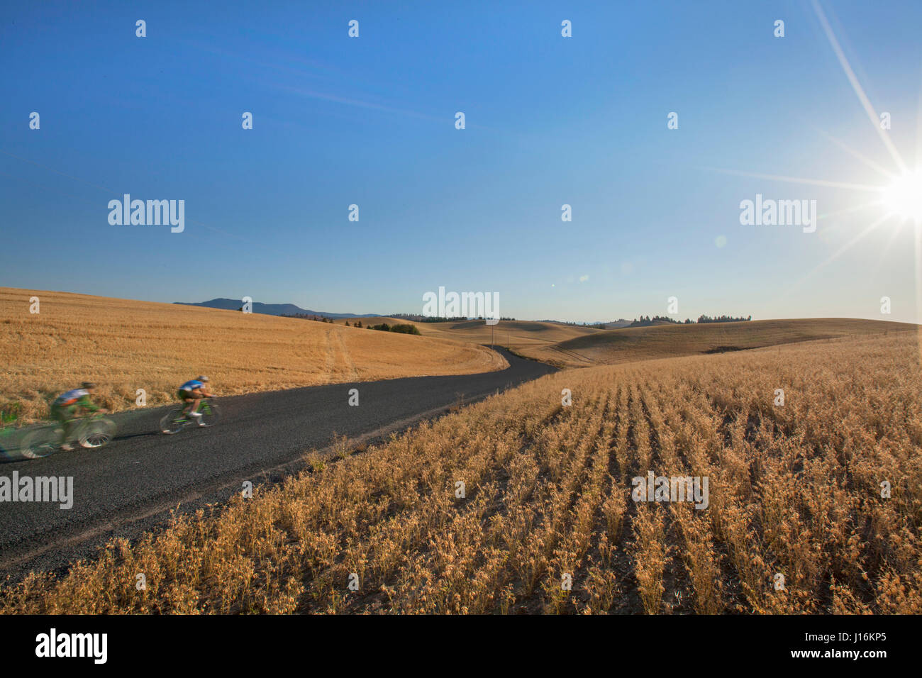 Moscow Idaho High Resolution Stock Photography and Images - Alamy