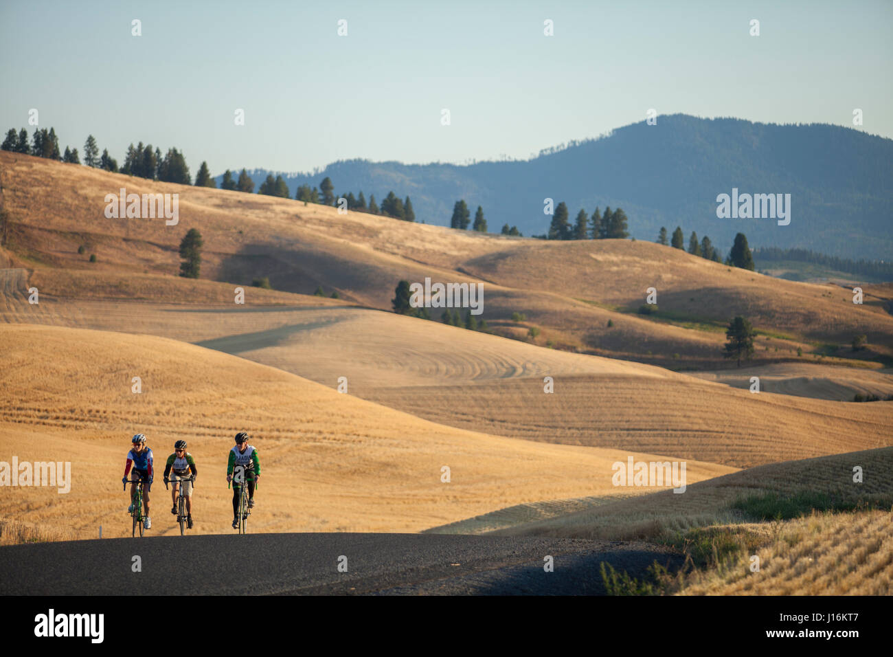 Girls palouse hi-res stock photography and images - Alamy